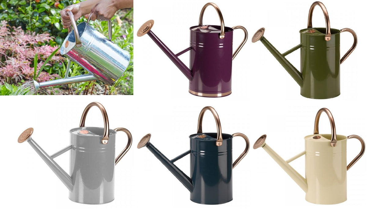 Watering Can 4.5L, Green, Blue, Ivory, Grey, Galvanised or Violet - Sm ...